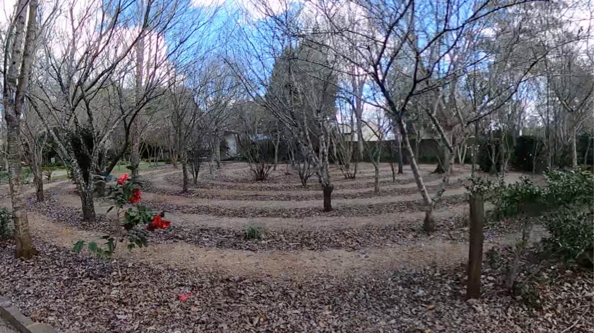 Davidson Arboretum - A Showcase for Northern Hemisphere Trees